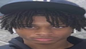 Who is Jamari Williams? Biography, Wiki, Age, Simeon Football Player ...