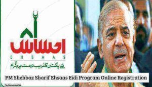 PM Shehbaz Sharif Ehsaas Eidi Program Online Registration Form Check ...