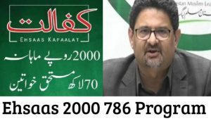 Ehsaas 2000 786 Program PM Sasta Petrol, Sasta Diesel Relief Package ...