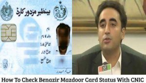 How To Check Benazir Mazdoor Card Status With CNIC Using Online Web ...