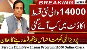 Pervaiz Elahi New Ehsaas Program 14000 Online Check 2025 » The Educationist Hub