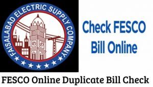 How To Do FESCO Online Duplicate Bill Check 2025? » The Educationist Hub