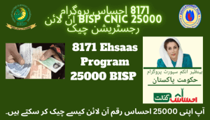 8171 Ehsaas Program 25000 BISP News Update CNIC Check Online 2025 » The ...