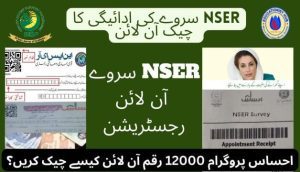 BISP NSER Survey Online Registration Check By CNIC 8171 | NSER Nadra ...