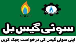 SNGPL Online Application Status CNIC Check » The Educationist Hub