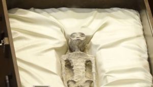 Who is Nazca Mummies? Biography, Wiki, Uncovering Ancient Secrets and ...